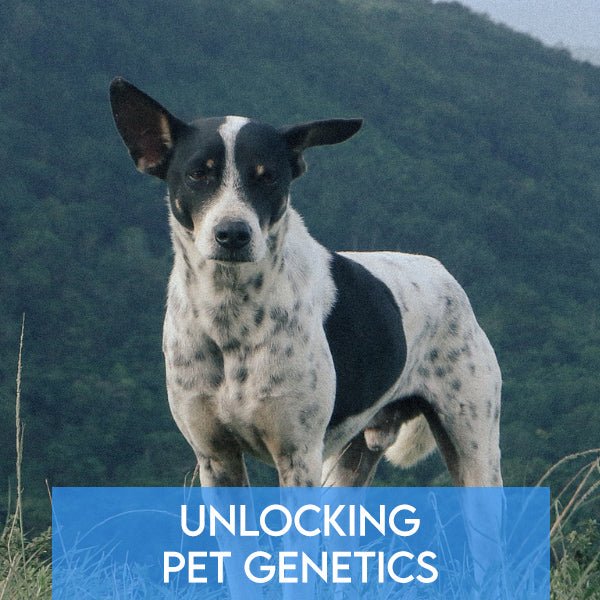 Unlocking Pet Genetics: How it Impacts Your Pet’s Health